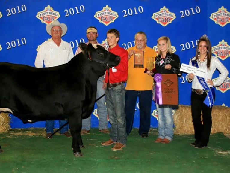 Grand Champion Steer, Fort Bend County Fair – Accurate Meter & Supply